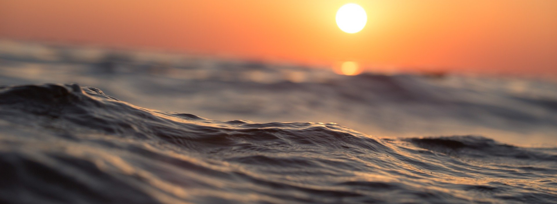 Psicoterapeuta | Anna Ruggeri | Ferrara FE